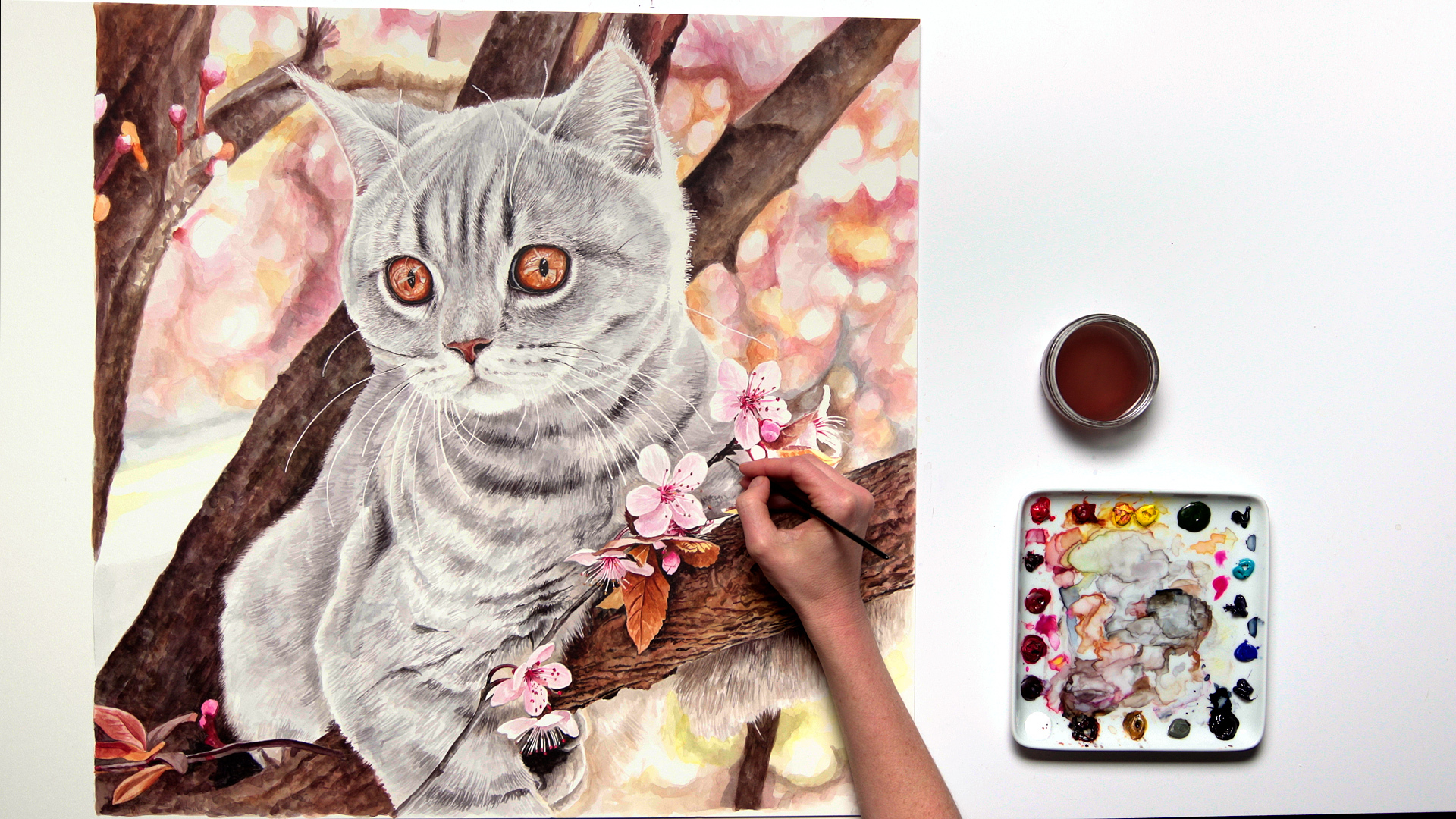 Observing colors like an artist - Nature Studio