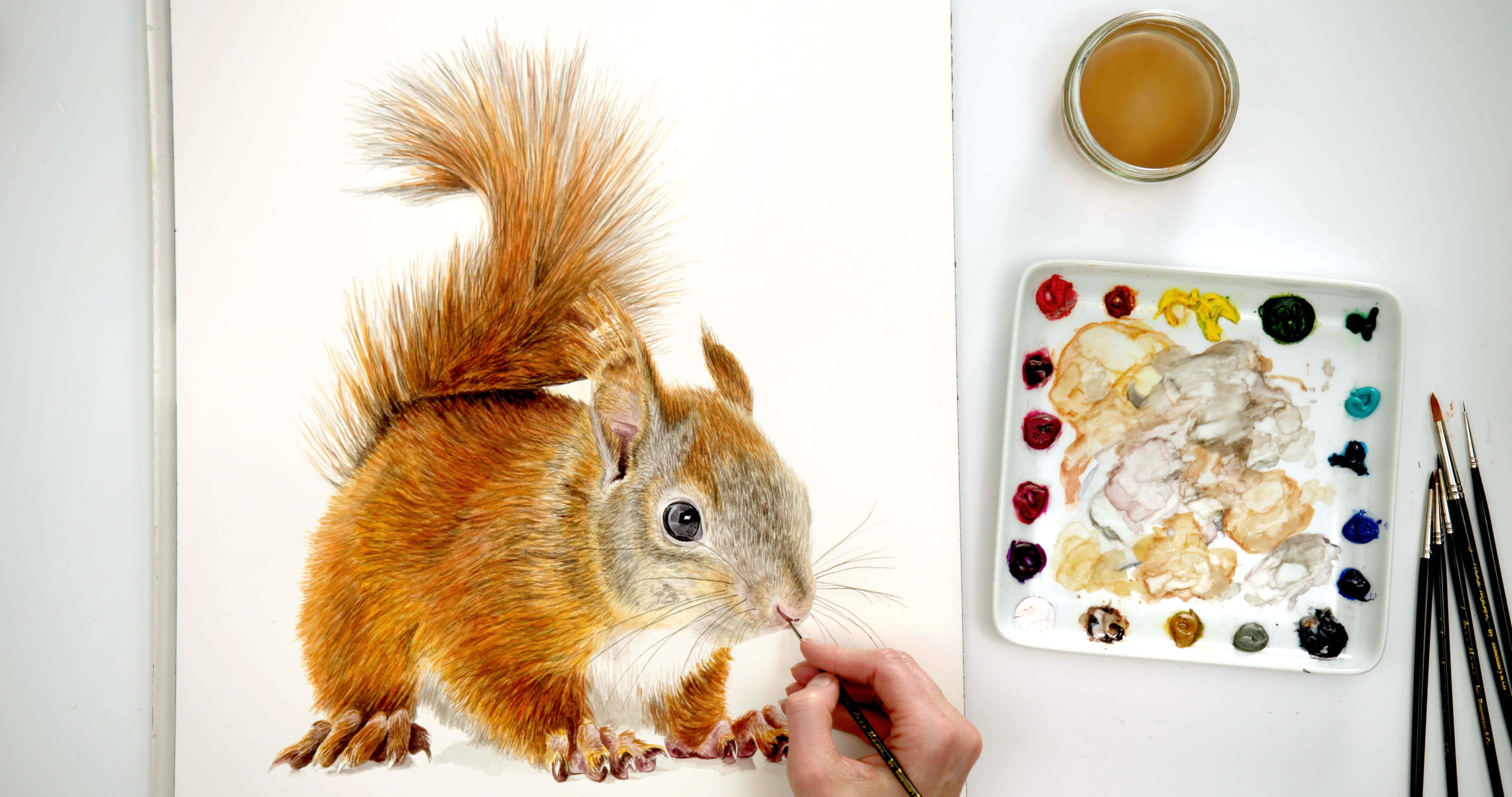 How to paint a realistic watercolor squirrel - Nature Studio