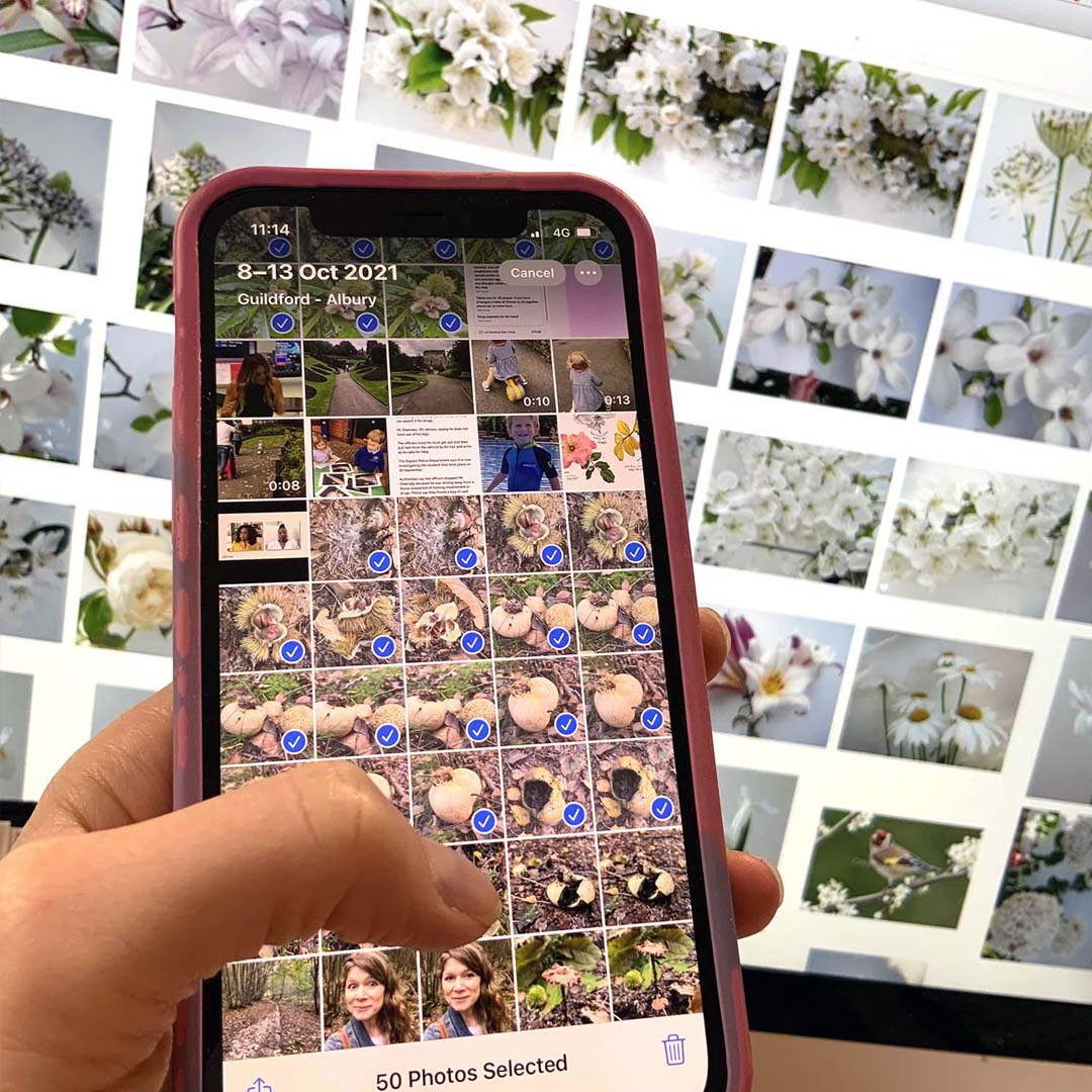 Want anytime art inspiration? Tips for curating a digital photo library ...