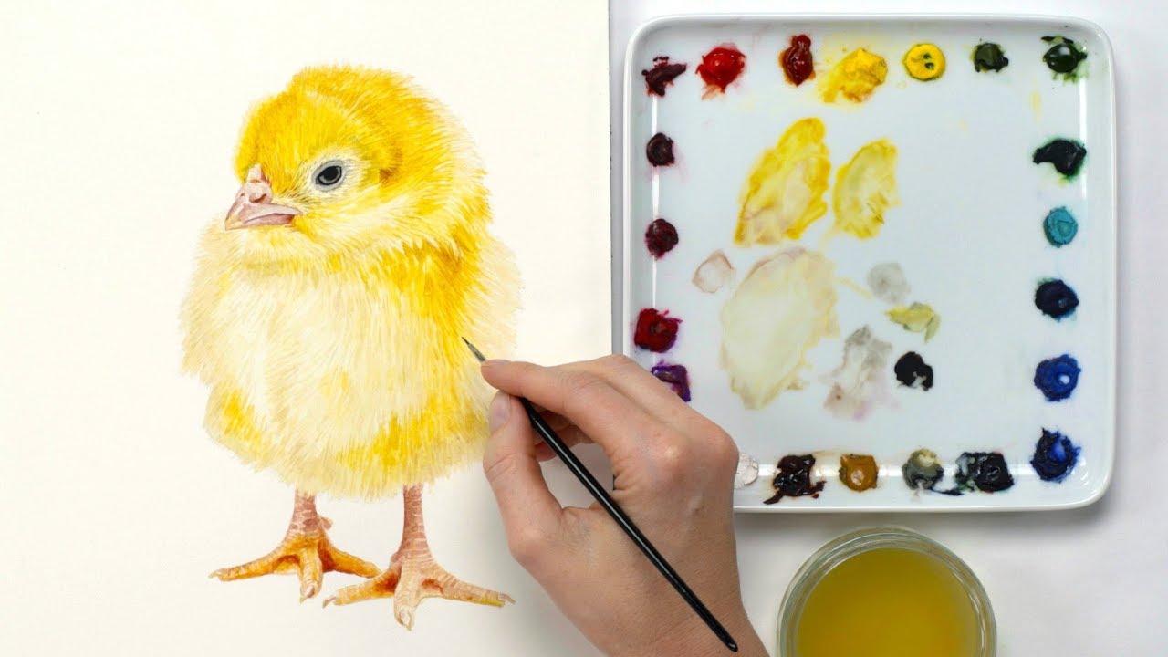 How to paint a realistic Easter chick in watercolour - Nature Studio
