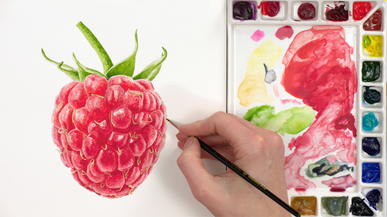How to paint a raspberry - Nature Studio