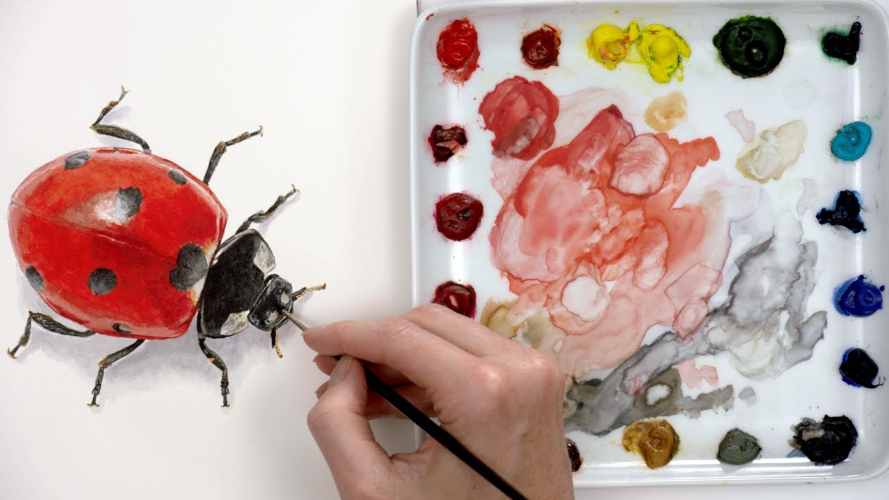 Ladybug watercolor painting [3D and shiny] - Nature Studio